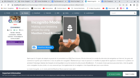 How to go Incognito Online - Maxthon | Privacy Private Browser