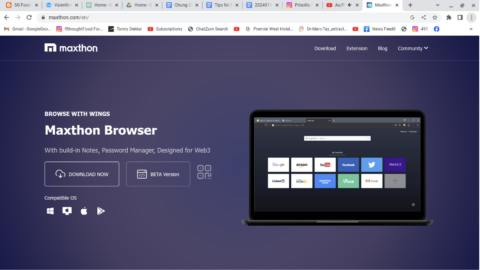 Fraud Trends And Their Solutions For 2025 - Maxthon | Privacy Private Browser