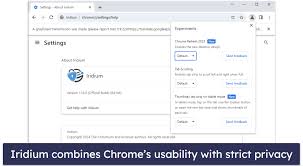 Browser Privacy Options - Maxthon | Privacy Private Browser